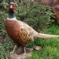 Fasan Deko Figur Jagdfasan Wildfasan Gartenfigur lebensecht DEKO HOTANT ...