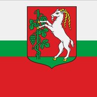 Fahne Flagge Lublin (Polen) Hissflagge 90 x 150 cm kaufen bei Hood.de
