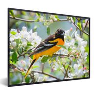 Poster - 80x60 cm - Vogel - Blumen - Farben kaufen bei Hood.de