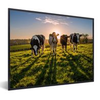 Poster - 80x60 cm - Kühe - Sonne - Gras kaufen bei Hood.de