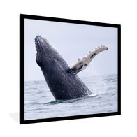 Poster - 40x40 cm - Buckelwal im Meer vor Costa Rica kaufen bei Hood.de