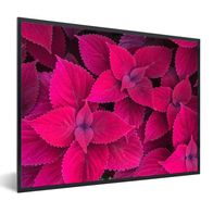 Poster - 80x60 cm - Blätter - Abstrakt - Muster kaufen bei Hood.de