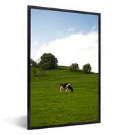 Poster - 80x120 cm - Kuh - Tier - Landschaft kaufen bei Hood.de