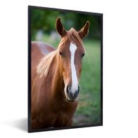 Poster - 80x120 cm - Pferd - Natur - Porträt kaufen bei Hood.de