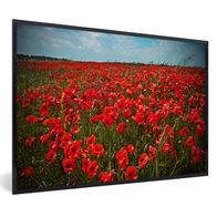 Poster - 90x60 cm - Eine Wiese voller Mohnblumen kaufen bei Hood.de