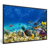 Poster - 90x60 cm - Meer - Fische - Korallen - Unterwasserwelt kaufen ...