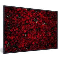 Poster - 90x60 cm - Blumen - Rosen - Rot kaufen bei Hood.de