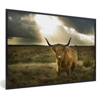 Poster - 90x60 cm - Schottischer Hochländer - Sonne - Gras kaufen bei ...