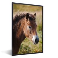 Poster - 40x60 cm - Pferd - Pony - Porträt kaufen bei Hood.de