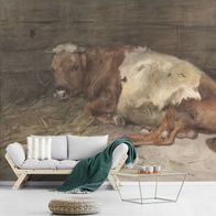 Fototapete - 600x400 cm - Junger Stier liegend - Gemälde von Anton ...