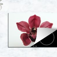Herdabdeckplatte - 78x52 cm - Rote Orchidee auf weißem Hintergrund ...