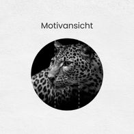 Fototapete Leopard grau rund Wanddeko Bildtapete Tapete kaufen bei Hood.de