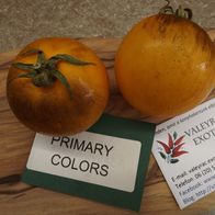 Primary Colors Tomate - Tomato 5+ Samen - Seeds - Gemüsesamen - Graines ...