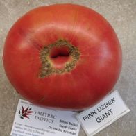 Rosa Riese Tomate aus Usbekistan - Uzbek Pink Giant Tomate 5+ Samen P ...