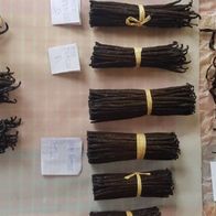 Vanilleschoten - Bourbon - die echte Bourbon Vanille aus Madagaskar ...