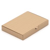 50 Warensendungen 305 x 220 x 44 Maxibriefkarton Post Maxibrief Karton ...