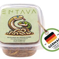 55g Mehlwürmer lebend ENTAVA Futter für Reptilien Schlangen Amphibien ...