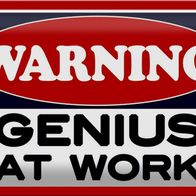 Blechschild Hinweis 30x20cm Warning Genius at work kaufen bei Hood.de