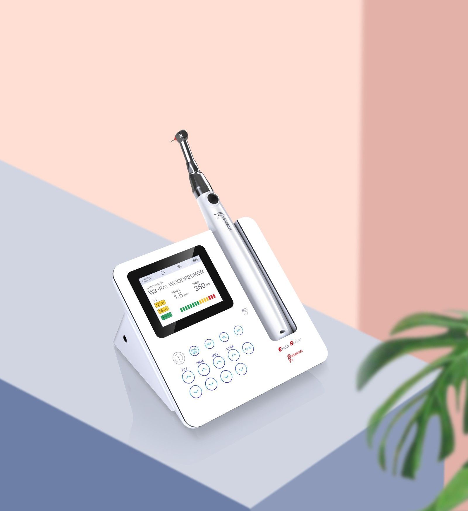 Endo Motor mit Apex Locator kaufen bei Hood.de