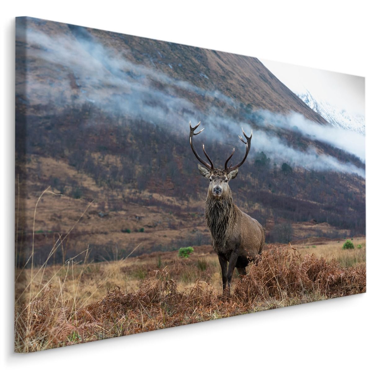 CANVAS Leinwandbild XXL Wandbilder Wohnzimmer Natur Hirsch BERGE grün ...