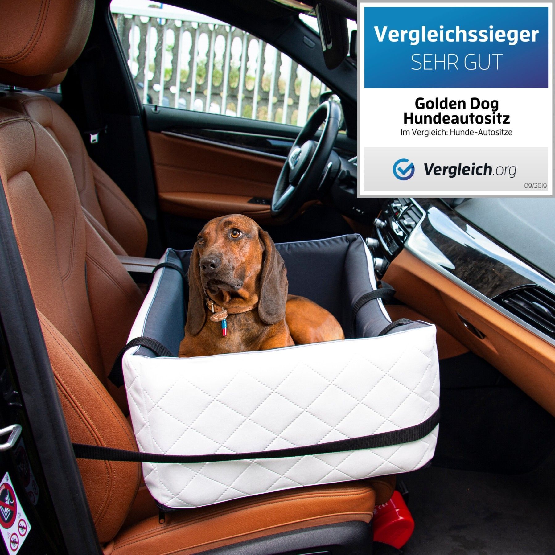 Hundesitz Golden Dog Hundeautositz Premium Gesteppt Autokörbchen ...
