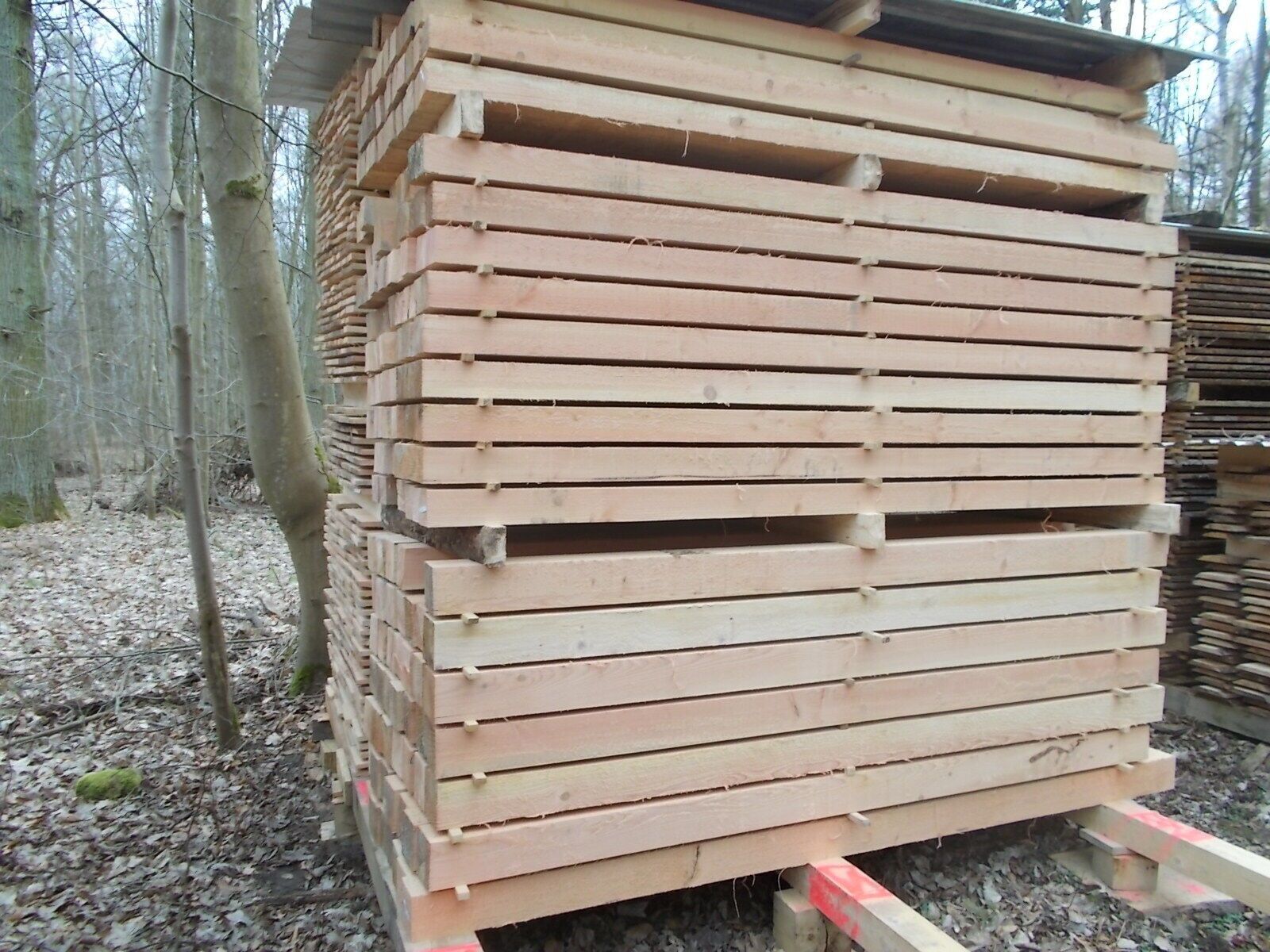 Douglasie 10x10 Kantholz Pfosten Balken mehrstielig kerngetrennt bis 4m ...