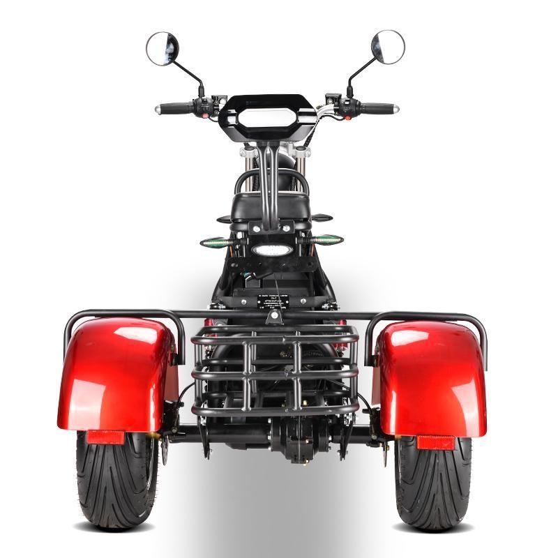 COCO BIKE CP-3 Elektro-trike 25-45 KM/H kaufen bei Hood.de