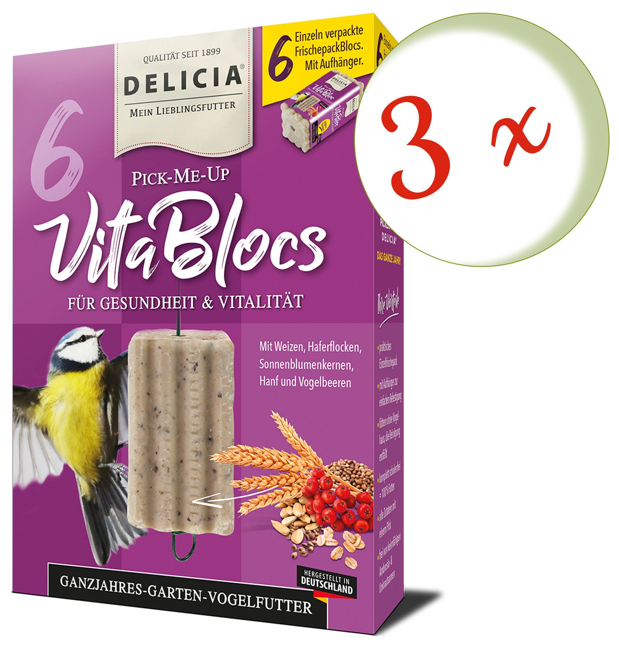 3 x DELICIA® Pick-Me-Up VitalBlocs, 6 Stück kaufen bei Hood.de