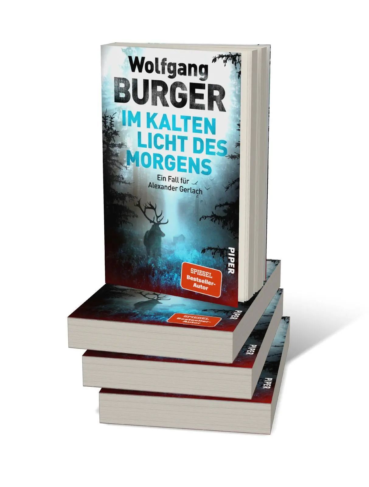 Im kalten Licht des Morgens | Wolfgang Burger | Taschenbuch | Alexander ...