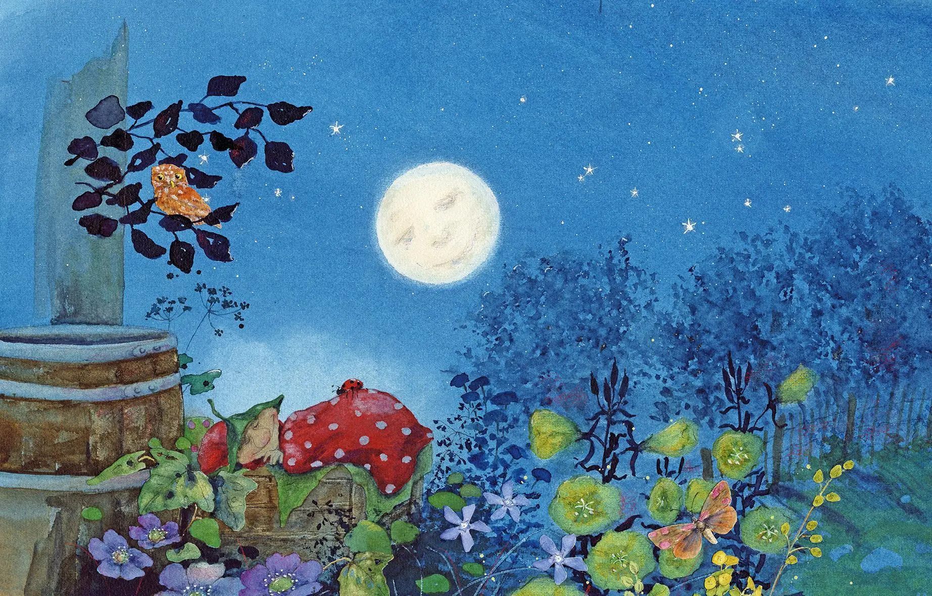 Giesberts kleiner Garten | Daniela Drescher | Buch | 12 S. | Deutsch ...