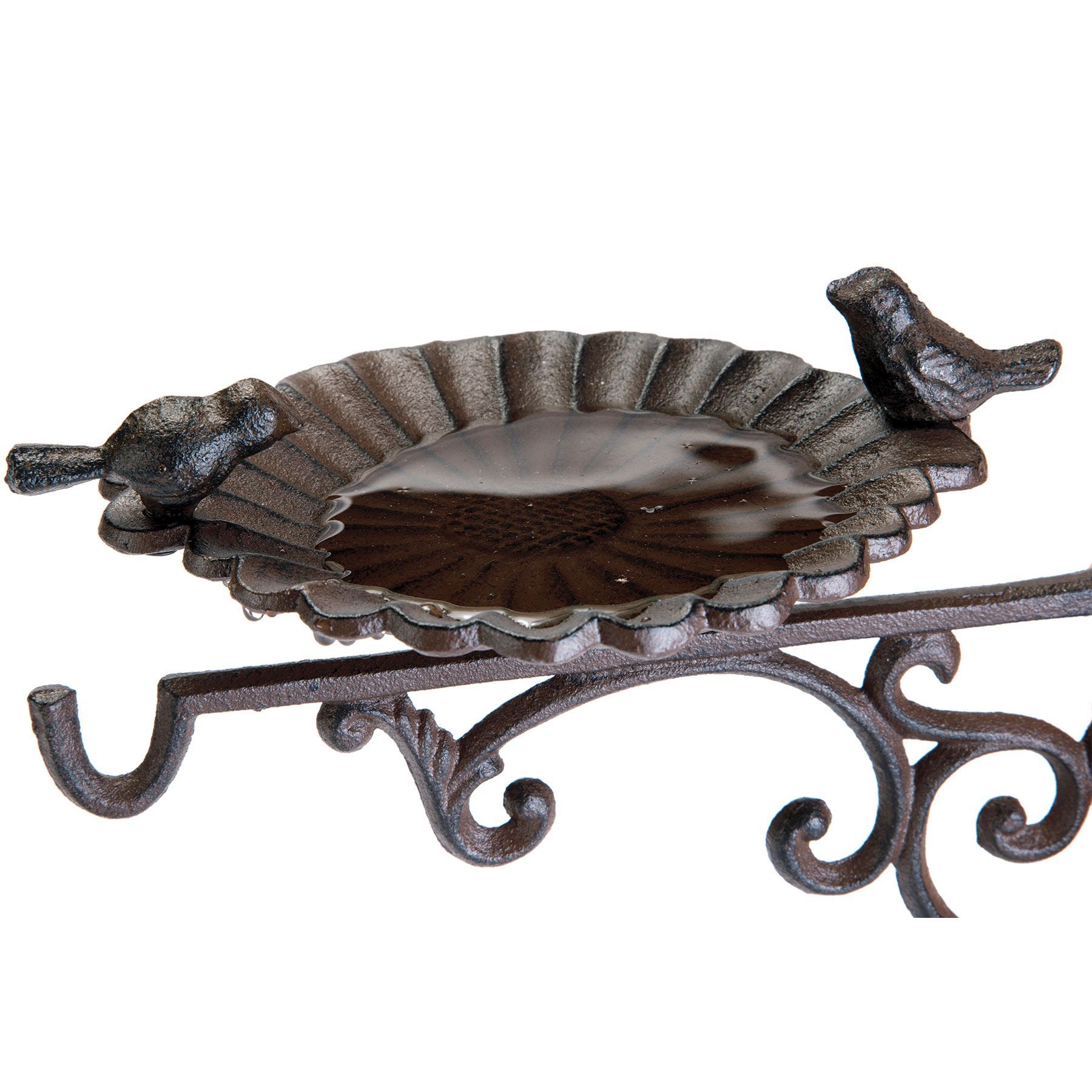 Pompeii Wand-Vogelbad kaufen bei Hood.de