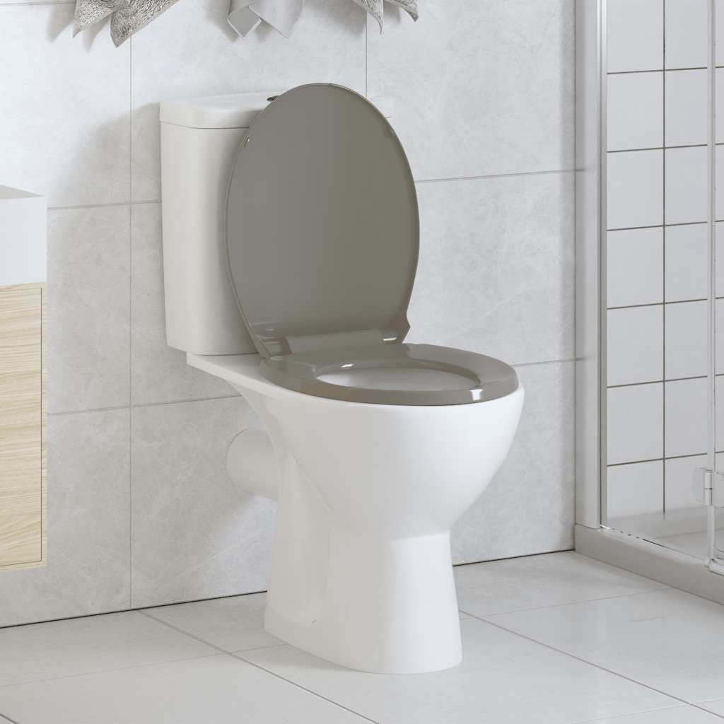 Toilettendeckel Mit Absenkautomatik Grau