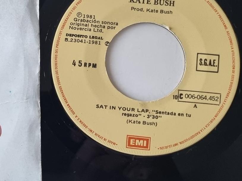 Kate Bush - Sat In Your Lap 7'' Vinyl Spain gebraucht kaufen bei Hood.de