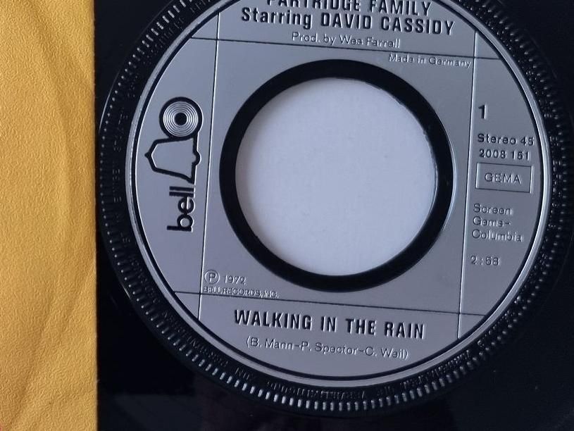 The Partridge Family/ David Cassidy - Walking In The Rain 7'' Vinyl ...