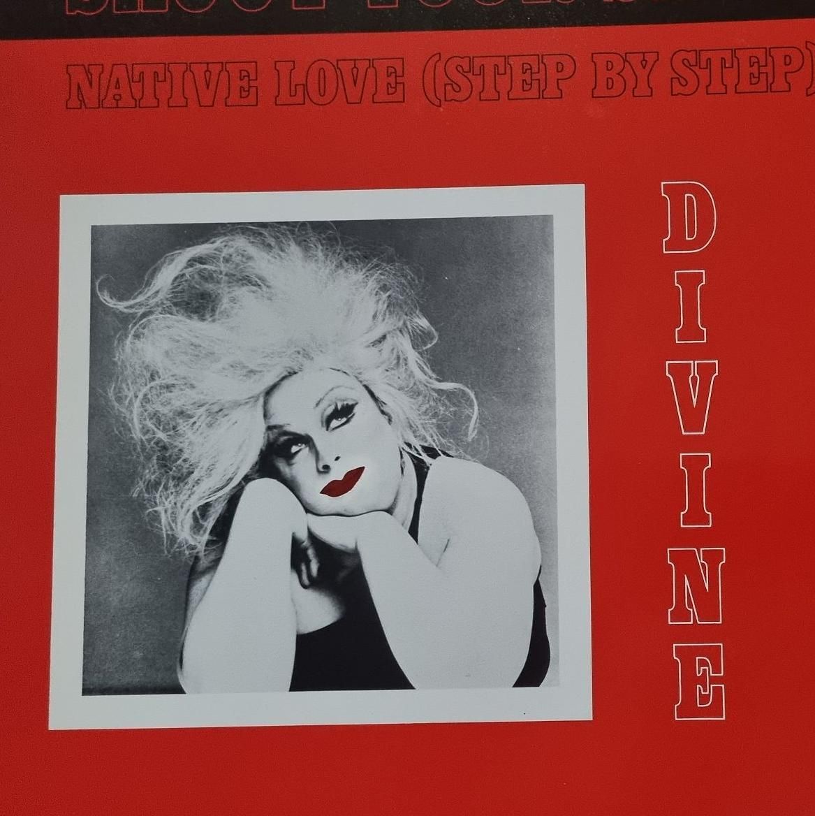 Divine - Shoot Your Shot / Native Love (Step By Step) 12'' Vinyl Maxi ...