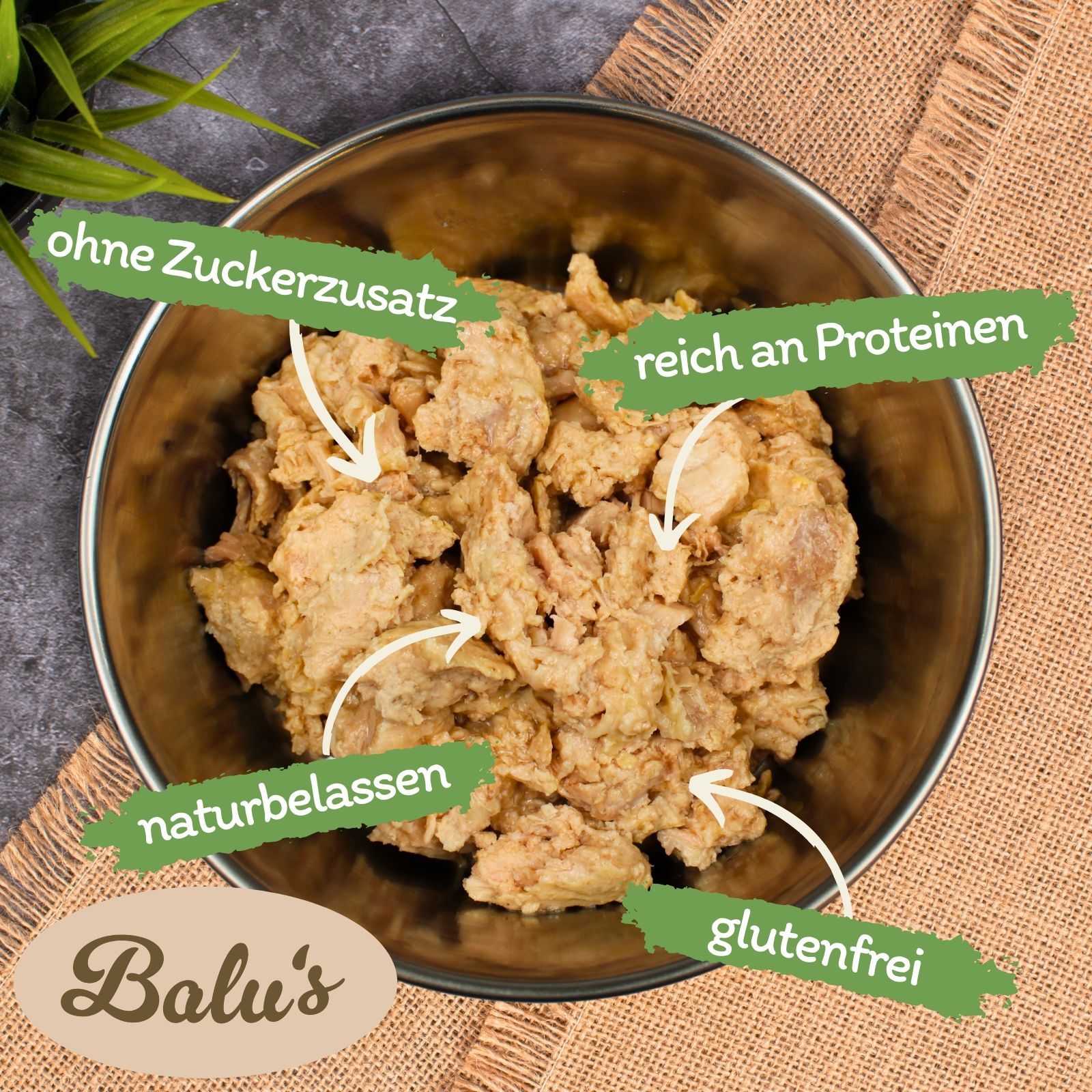 24 x 400 g Lecker. Pet® Balu’s, Emily's, Leo's & Mia's 100 % Fisch ...