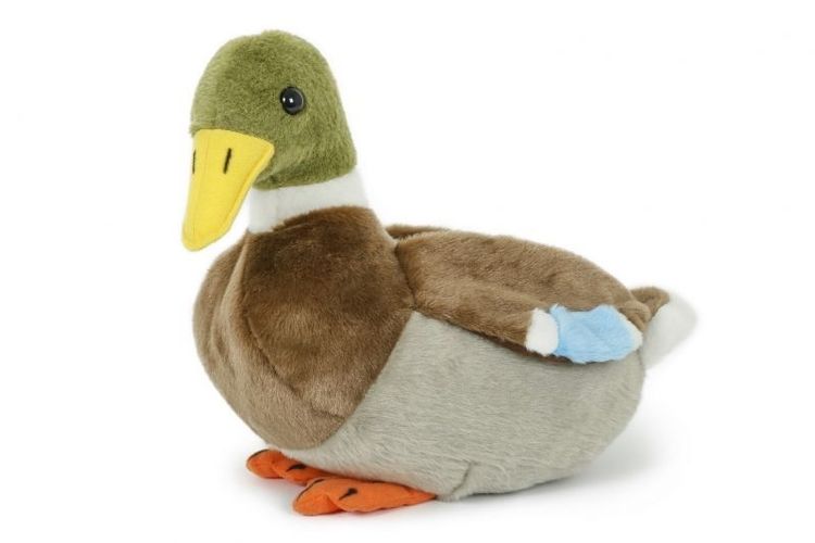 Ente, Stockente Erpel Plüschtier Stofftier Plüsch Kuscheltier NEU 28cm ...