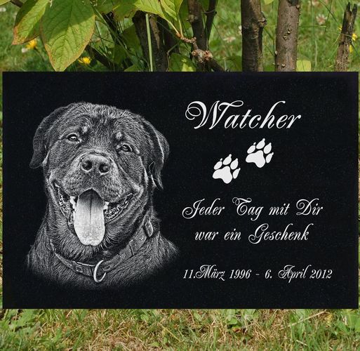 GRANIT Grabstein Grabdekoration Tiergrabstein Hund g39 -30 x 20 cm ...