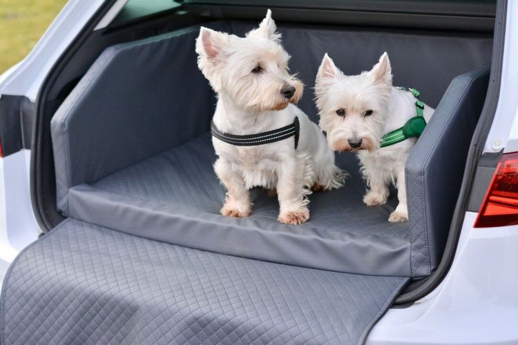 Autohundebett Kunstleder Transportbett Hundebett Kofferraum ...